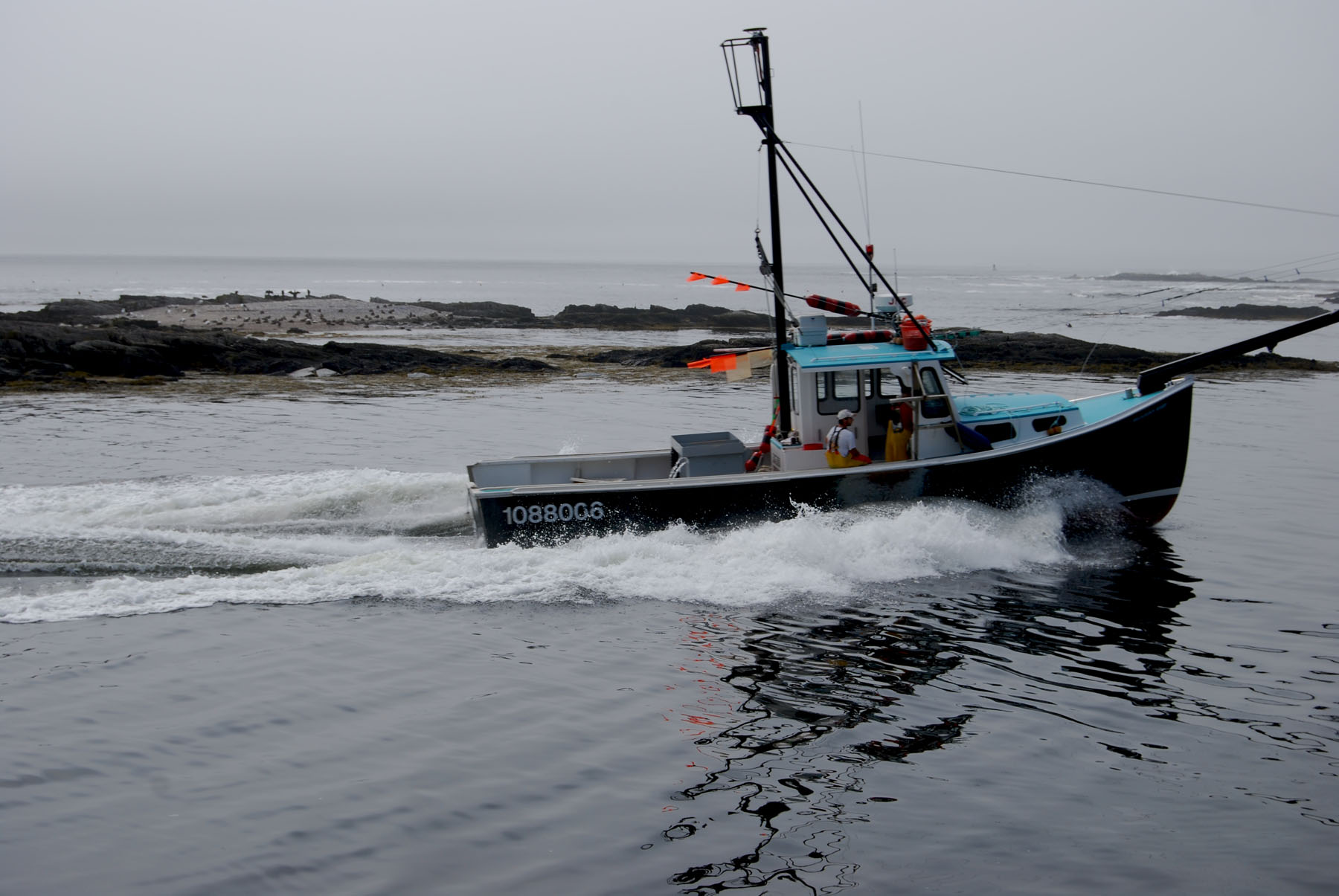 Jack Greeson (1) – Dewitt County Shutterbugs